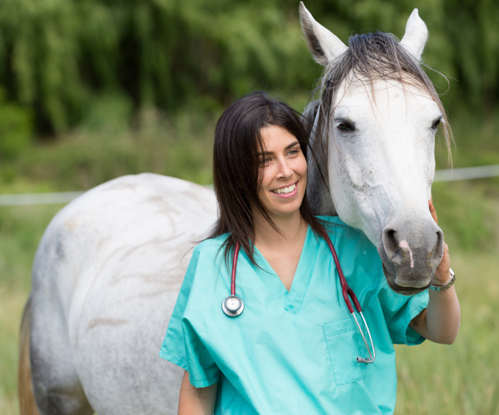 Home - HappyVetProject