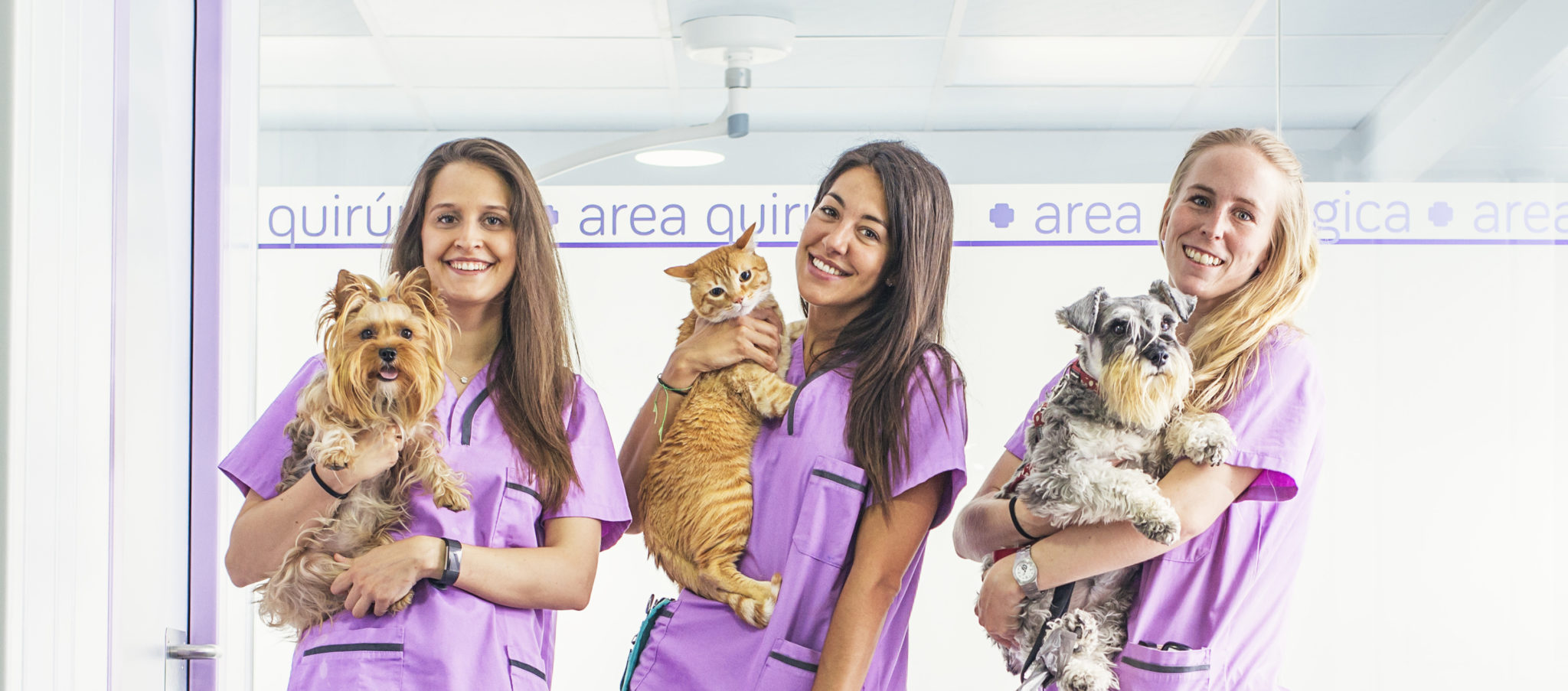 Home - HappyVetProject