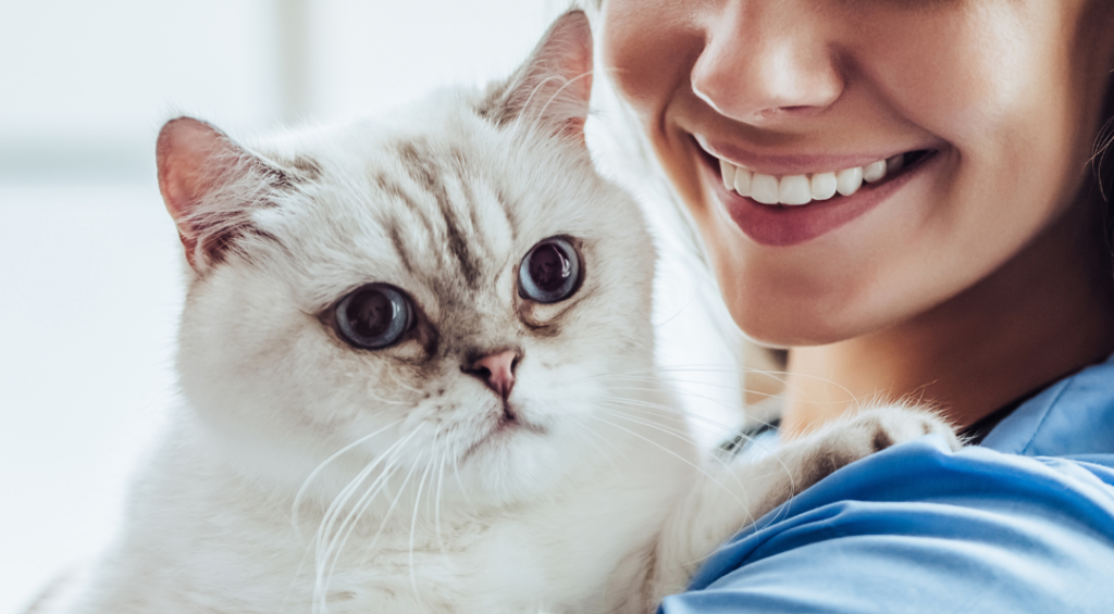 Home - HappyVetProject