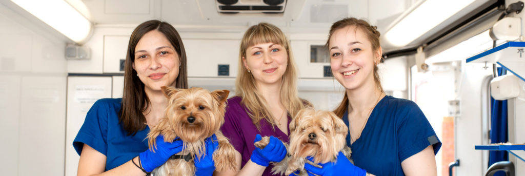 VET MANAGERS - HappyVetProject