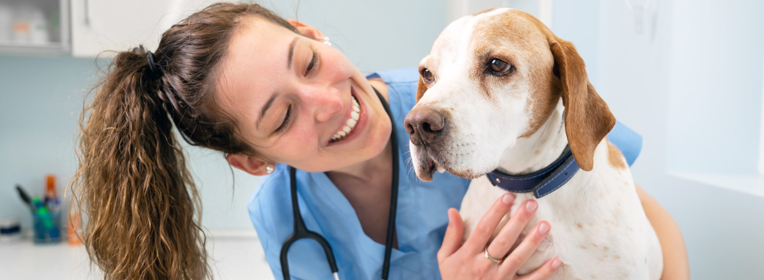 The large veterinary hospital challenge: preventing the loss of female ...